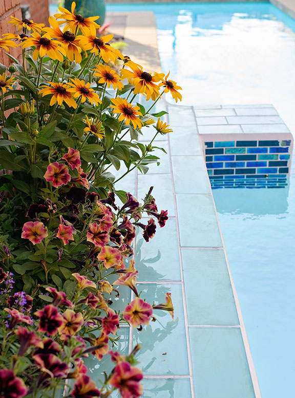 Poolside Botanicals | ST. LOUIS HOMES & LIFESTYLES