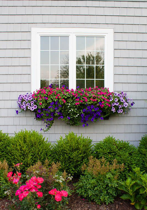 Fabulous Flower Boxes | ST. LOUIS HOMES & LIFESTYLES